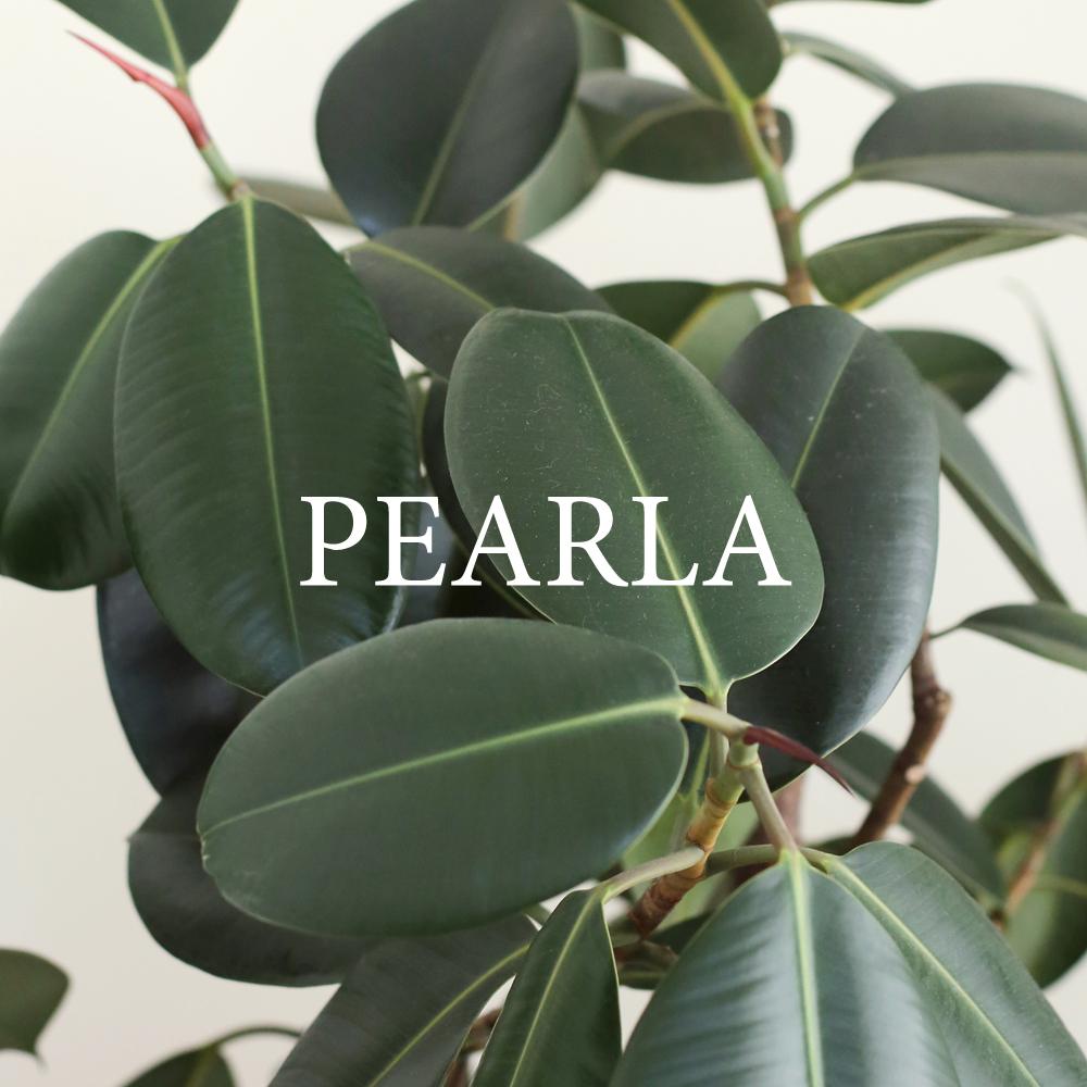 Pearla Dubai